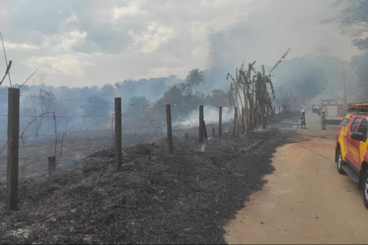Goiás Declara Estado De Emergência Ambiental Devido Riscos De Incêndios