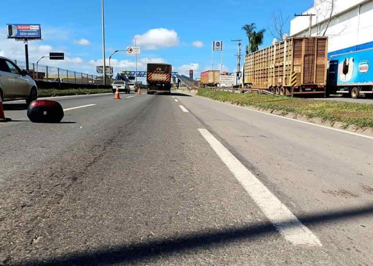 Ciclofaixa no meio de estrada no Piauí viraliza nas redes sociais e ... Ciclofaixa no meio de estrada no Piauí viraliza nas redes sociais e ...